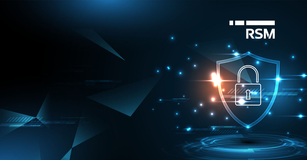Private equity cybersecurity testing | RSM