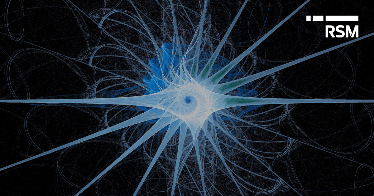 Data analytics services | Technologies | RSM US