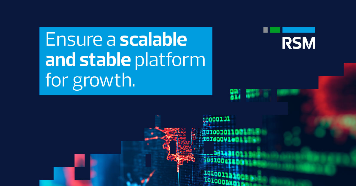 Software due diligence | Services | RSM US