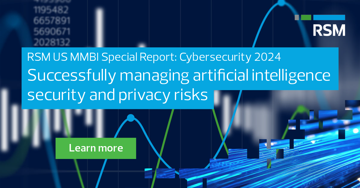 Successfully managing artificial intelligence security and privacy risks