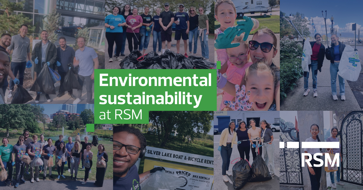 Environmental sustainability | ESG | RSM US
