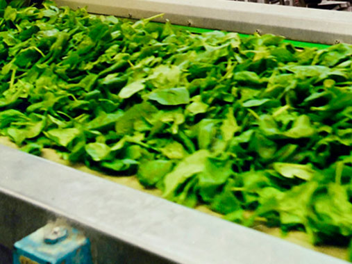 How food processing companies can build a resilient supply chain