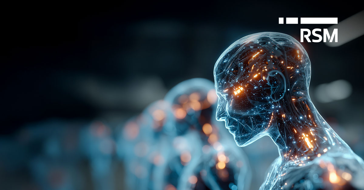 AI due diligence assessment in private equity | RSM US