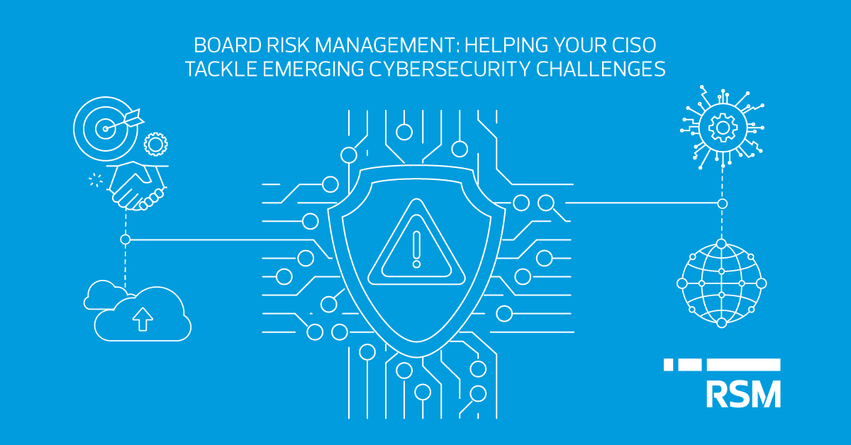 Board risk management