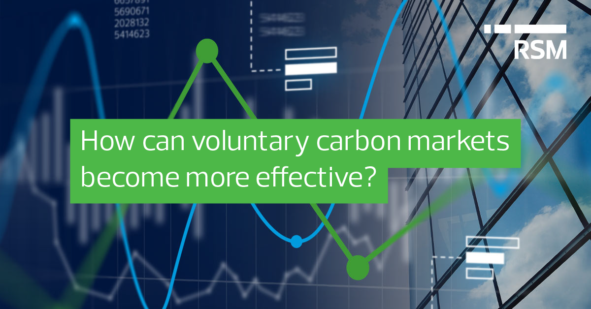 The future of voluntary carbon markets: A pathway to corporate ...